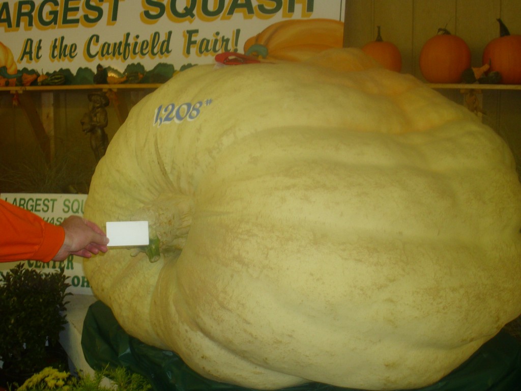 How Big is that Pumpkin? » A Recursive Process