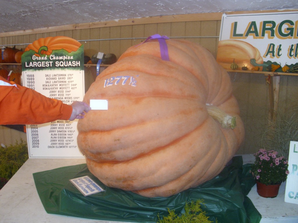 How Big is that Pumpkin? » A Recursive Process