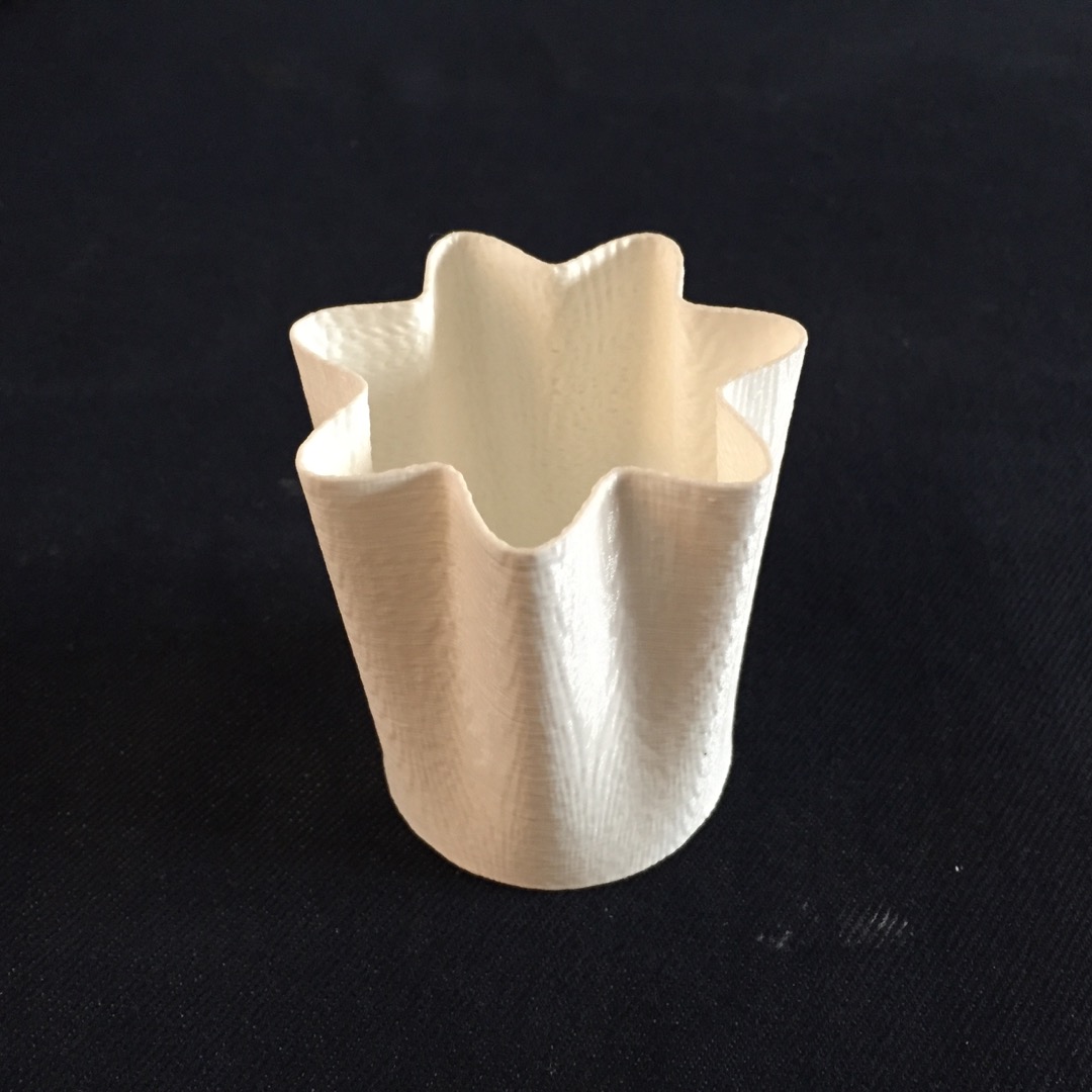 Workflow Desmos Processing Fiji 3d Print A Recursive Process