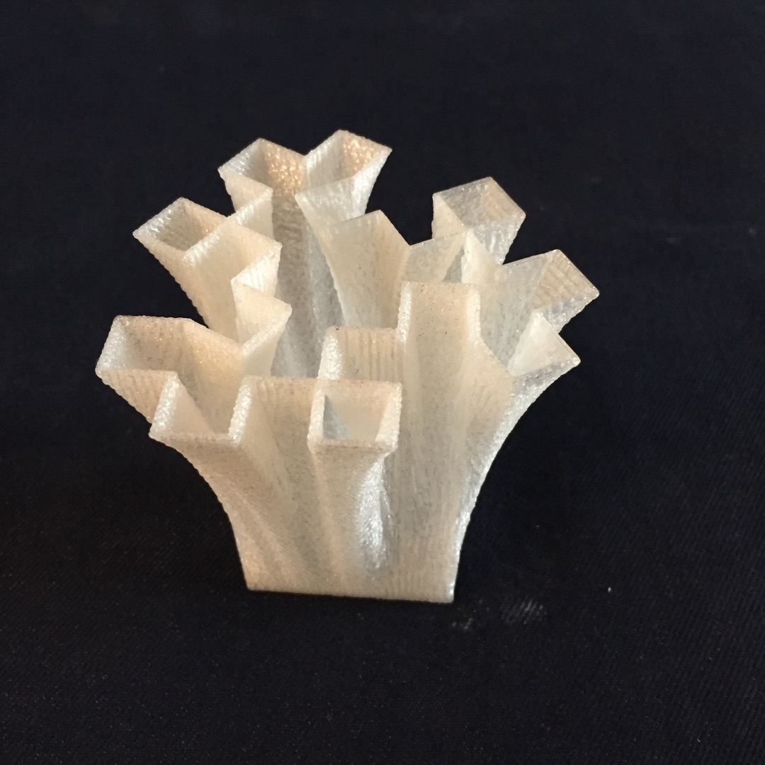 Workflow Desmos Processing Fiji 3d Print A Recursive Process